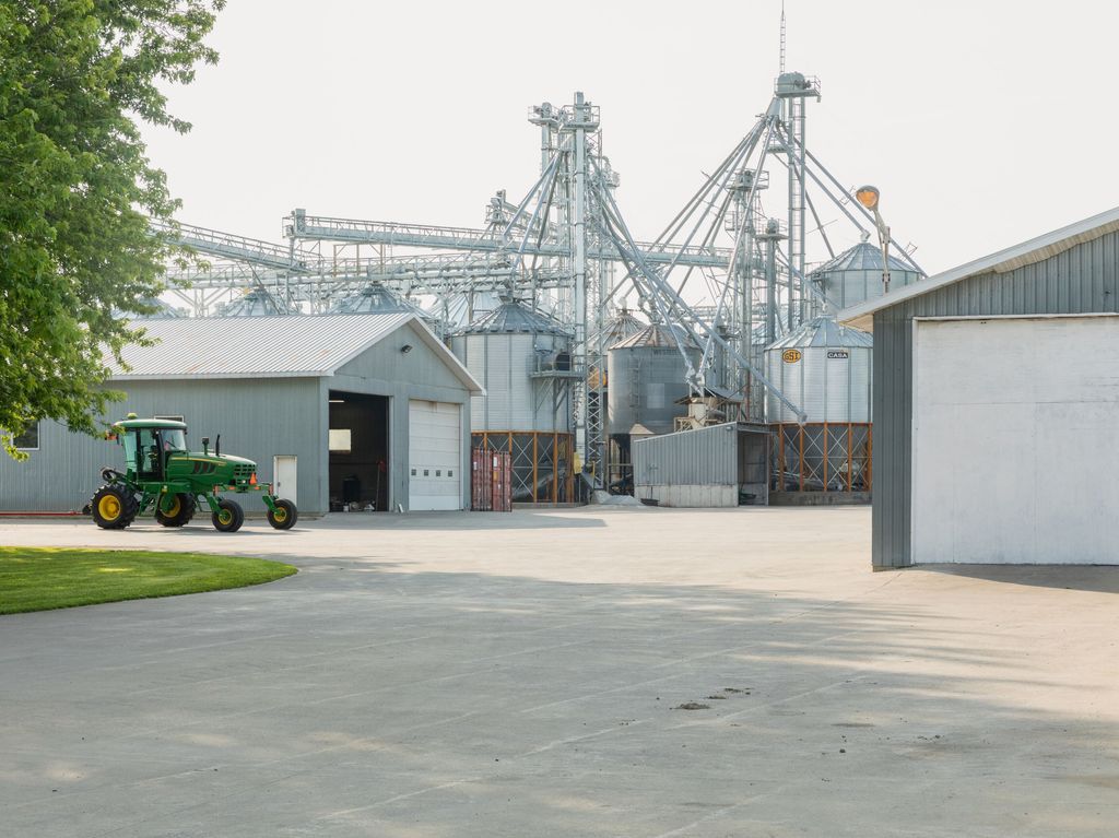 Giant strides in organic corn production│Inspiration Hub │Bühler Group