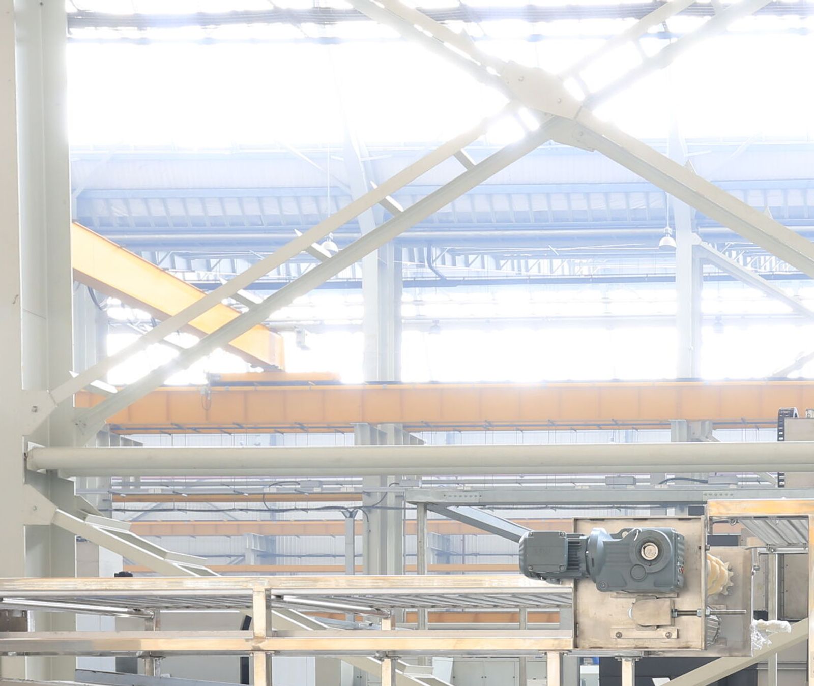 From Flour to Fried Instant Noodles