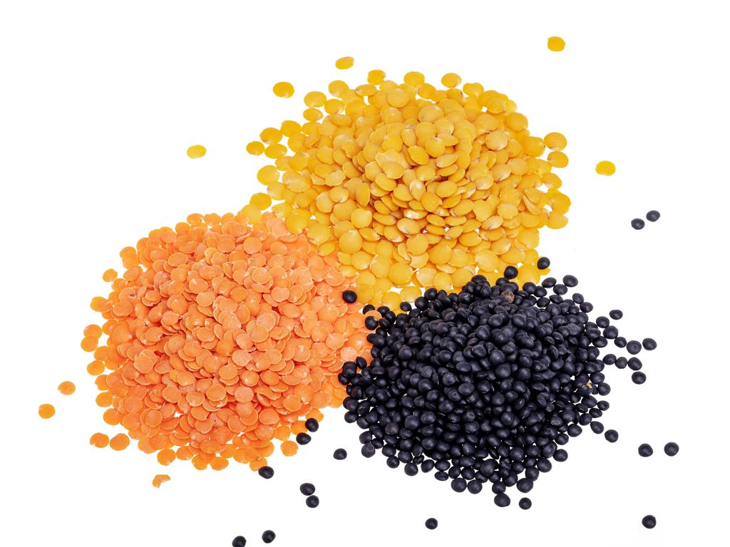 Lentils | Pulses Processing | Bühler Group