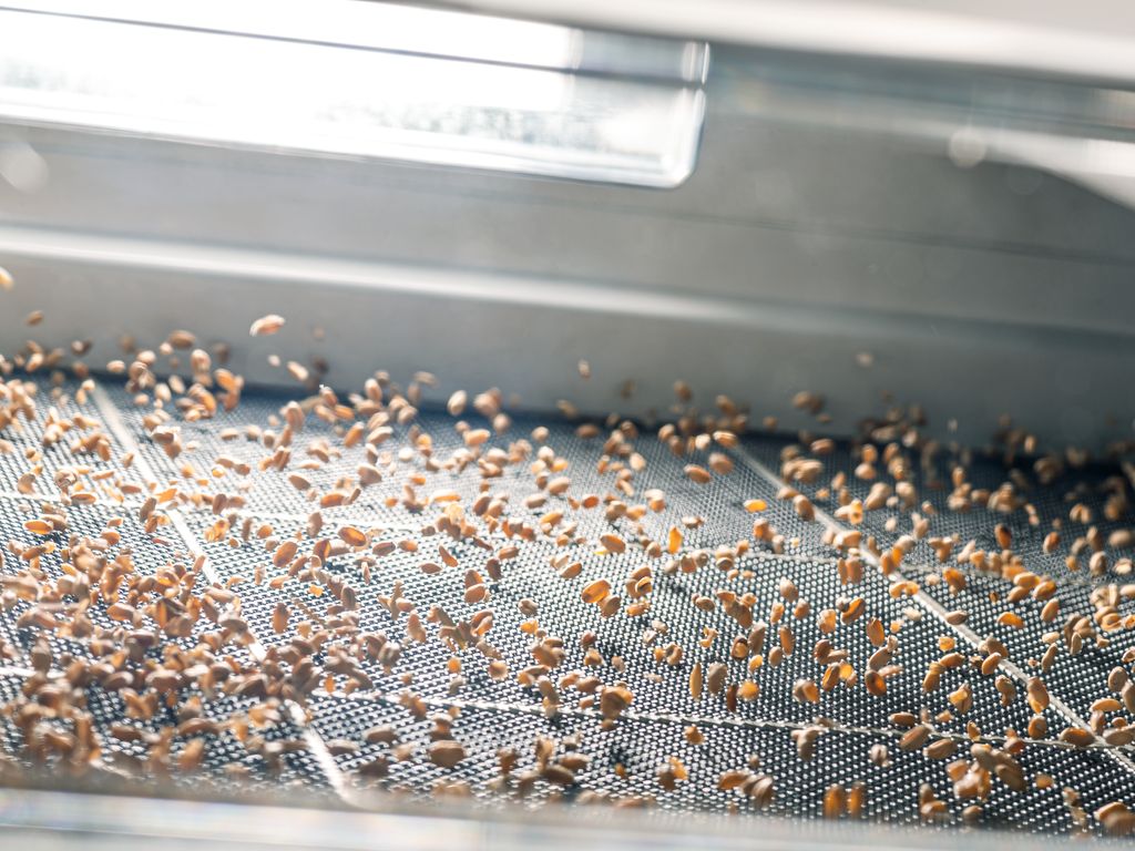 Grain Cleaning | Food Safety | Bühler Group