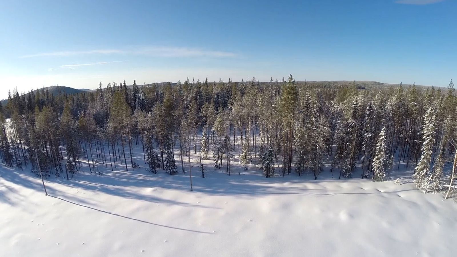 Blåtand AB Sweden | Customer story | Bühler Group